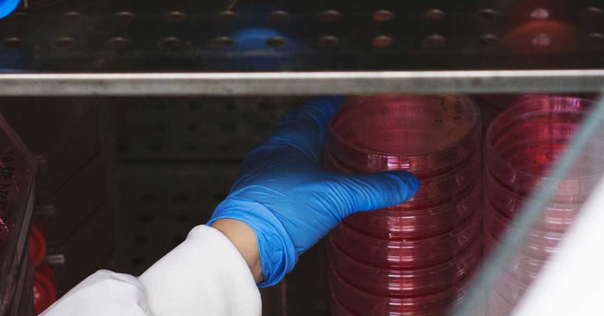 Tips For Designing an ADA Cabinets For Your Laboratory