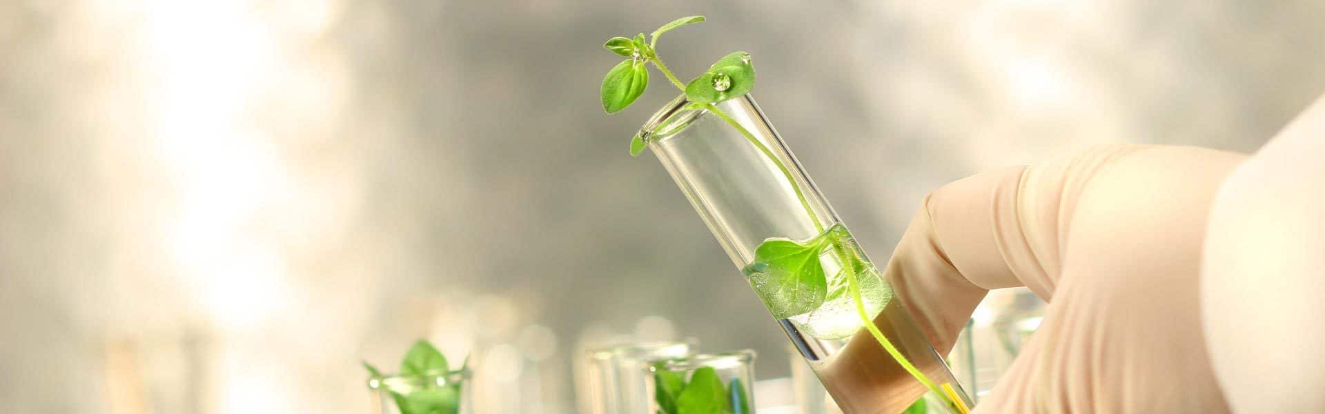 What Are The Perfect Work Surfaces For Cannabis Lab?